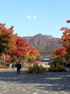 The 16 Best Parks in Seoul | MyBestSeoul