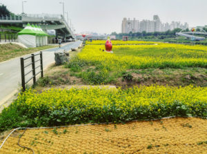 The 20 Best Districts in Seoul | MyBestSeoul