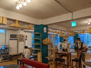The 12 Best Cat Cafes in Seoul | MyBestSeoul